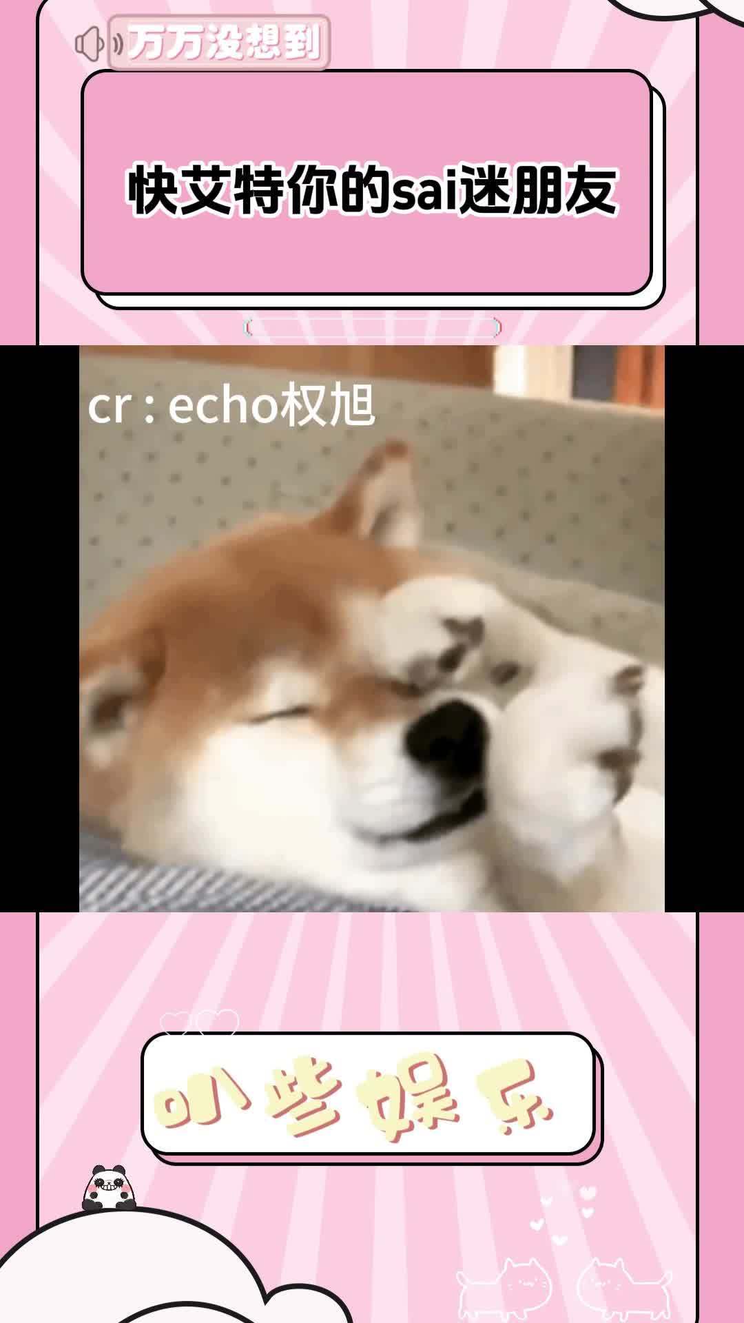 快艾特你的sai迷朋友