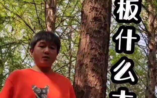 颗粒板用什么木材