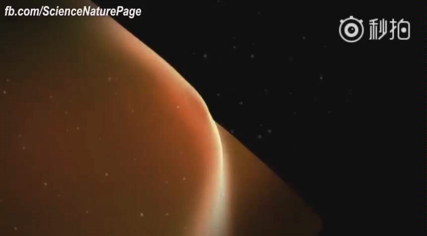 柏林科普动画:生命的诞生。请温柔以待～