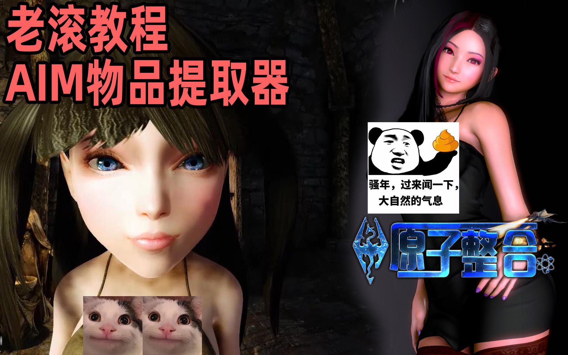 ▲上古卷轴原子整合重置版教程15【AIM物品提取器如何使用】我上来...