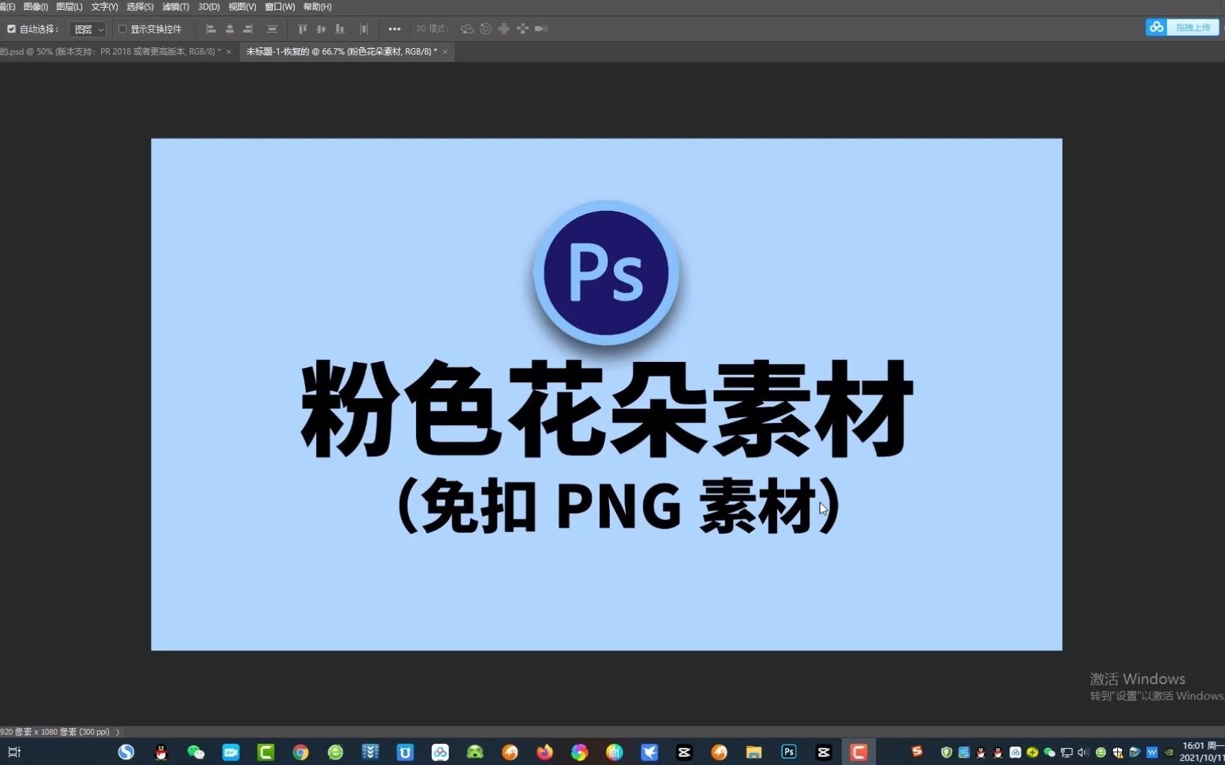 ...水彩牡丹花朵花卉后期美化ps设计素材包png免抠透明背景古风图片