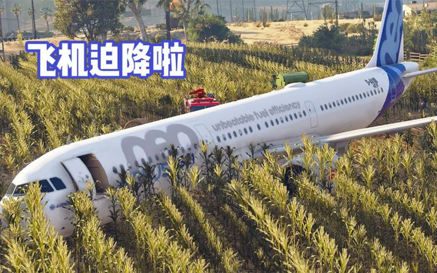 模拟器:客机即将起飞,不料遇到飞鸟群,引擎直接报废了_单机游戏热门...