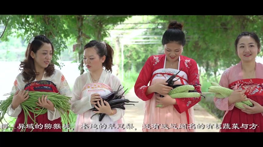 江西新余:这个生态乡镇的宣传片太美了!