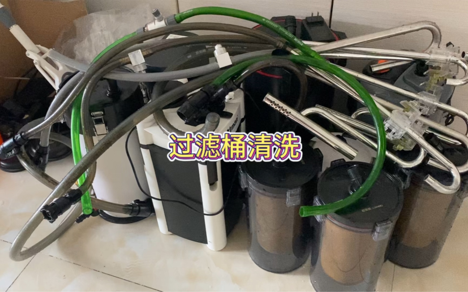 洗过滤桶也挺费腰的#草缸 #养鱼日记 #鱼缸过滤