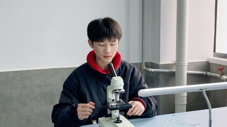 初中生物实验:利用显微镜观察植物细胞