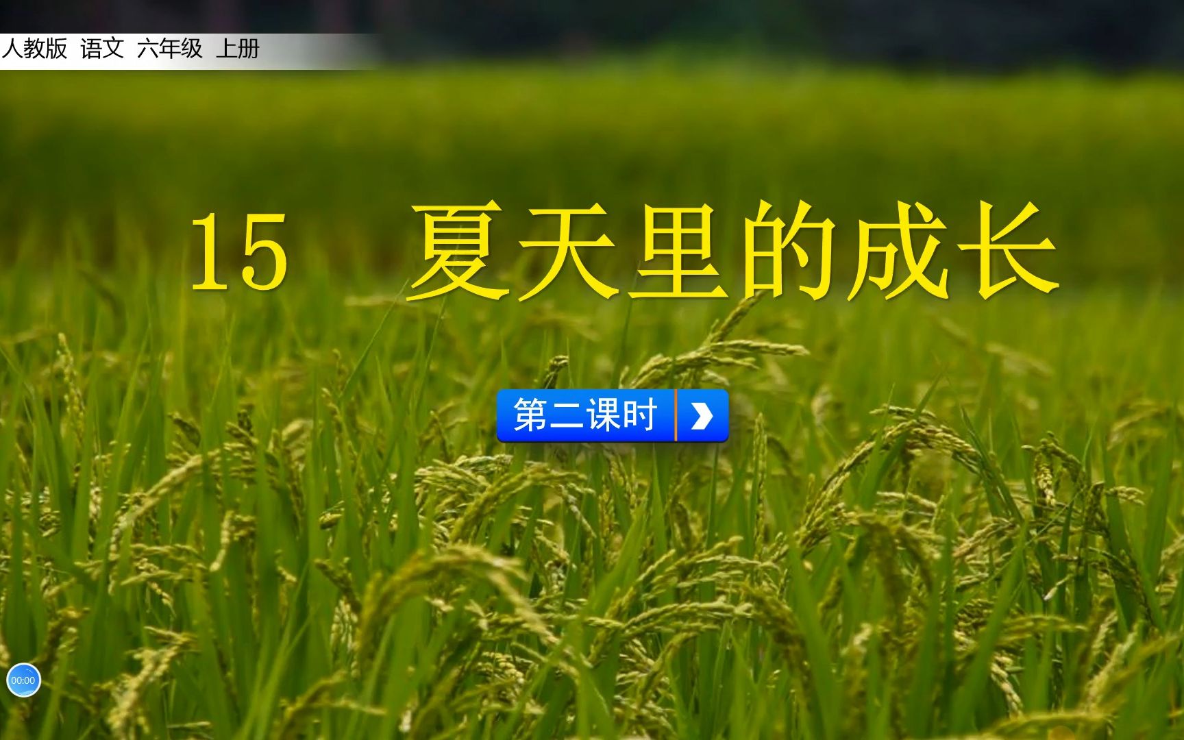 六年级上册语文《15.夏天里的成长》第二课时,学习课文,打好语文基础