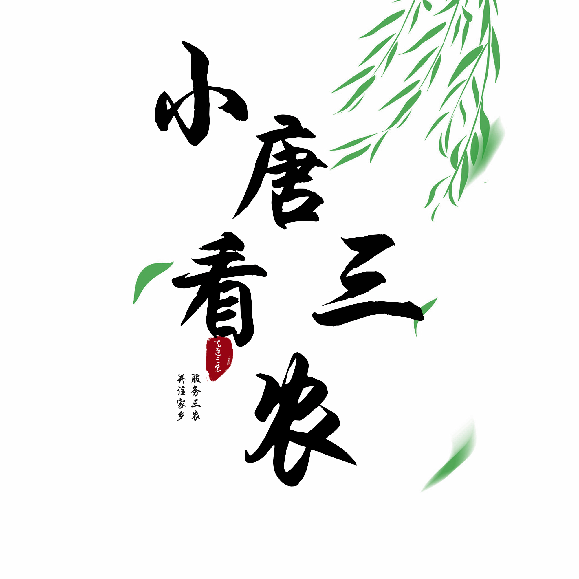 小唐看三农 