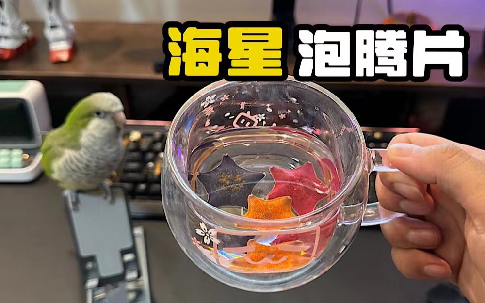 搬砖yue了,来杯派大星泡腾片吧!