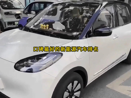 一口气看完最新口碑最好的新能源汽车排名,第一名可以再驾30年