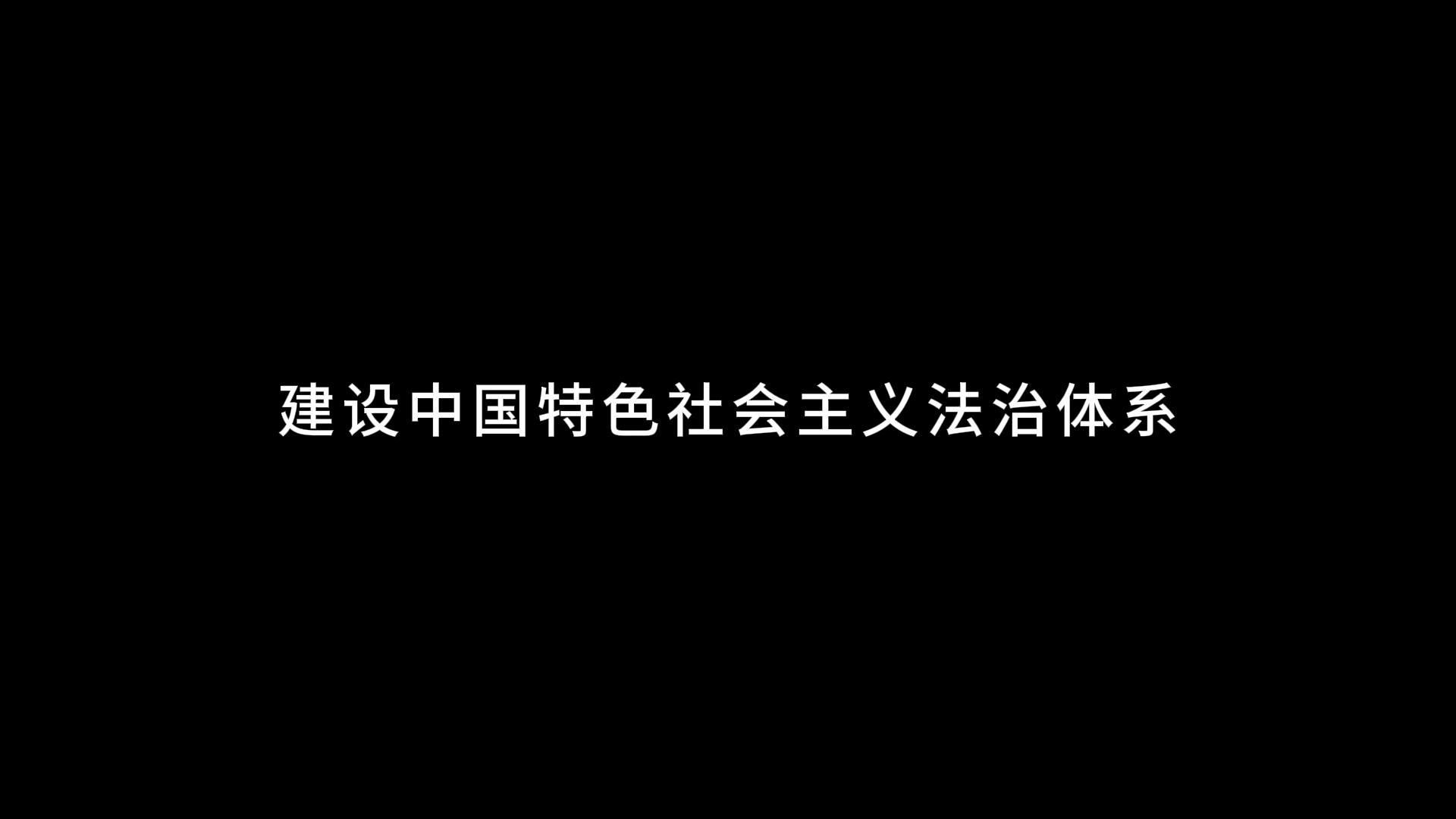 4、建设中国特色社会主义法治体系(仅供学习)