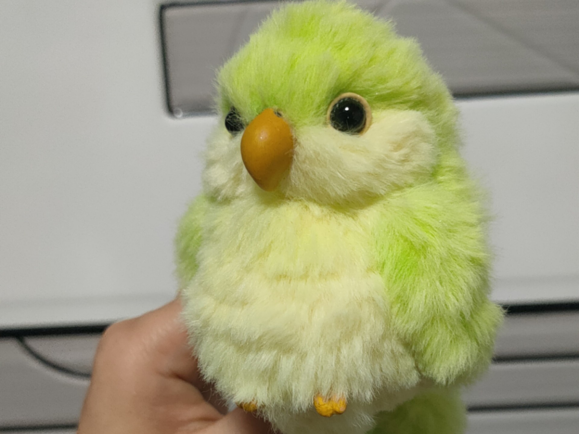 扭扭棒小鹦鹉教程(入门级简单)