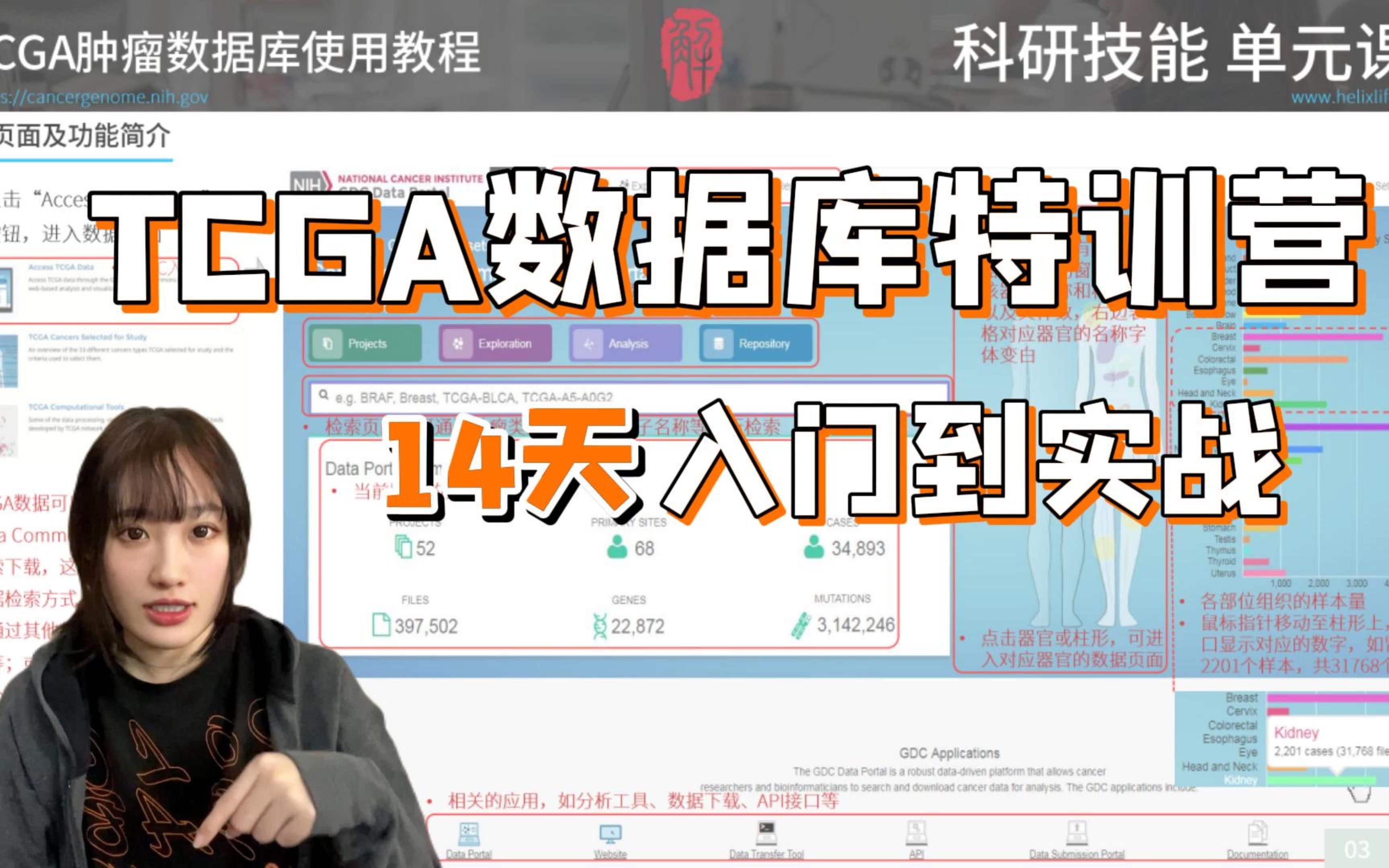 《14天单细胞转录组测序分析成长营》中医药科研系列课程(子子中医...