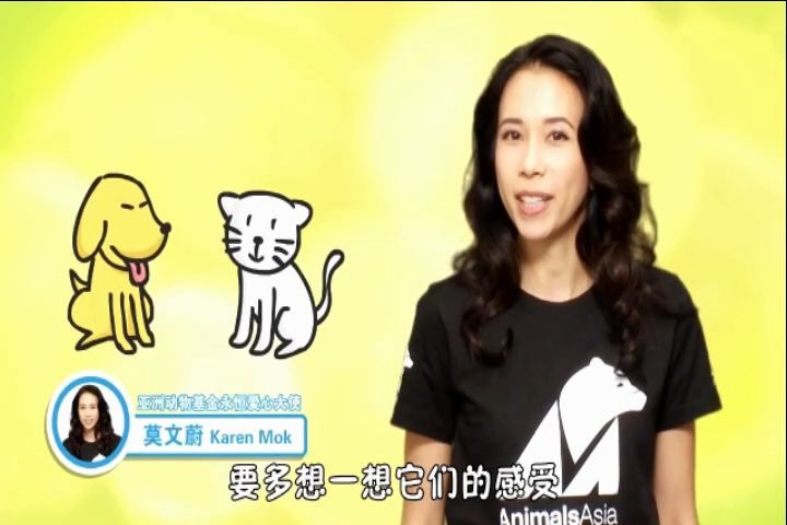 《与猫狗相处知识学堂》