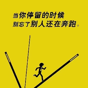 b站学习up猪 
