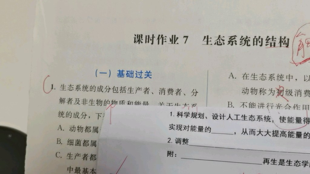裴老师第一节生态系统结构课时作业讲解