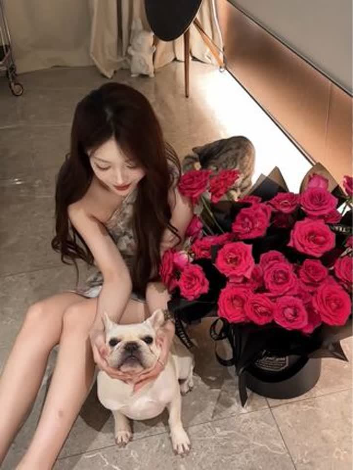 你愿意做我的小狗狗吗 #如果你看我的电影听我爱的CD