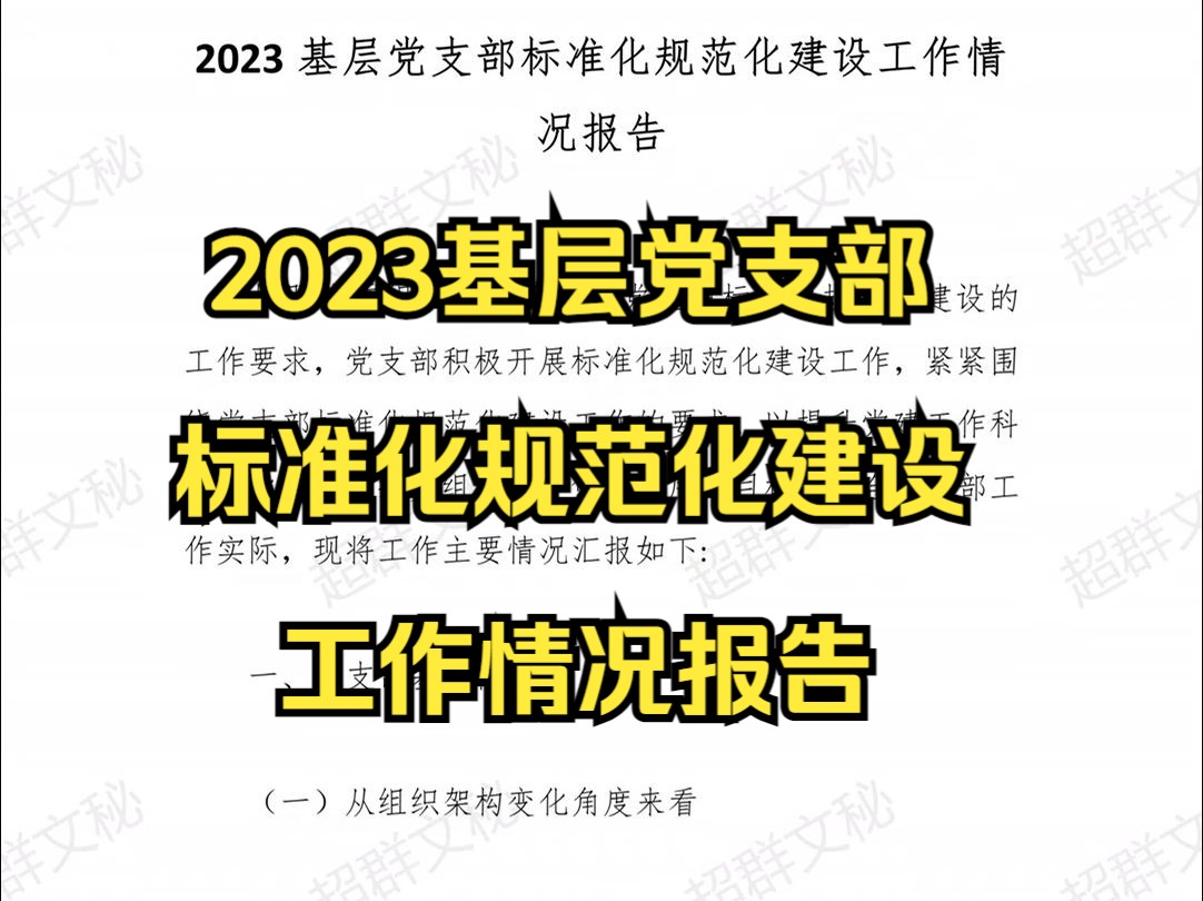2023基层党支部标准化规范化建设工作情况报告 最新范文