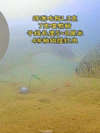 7克咳嗽铅搭配1.3克浮漂,主线会不会滑动?