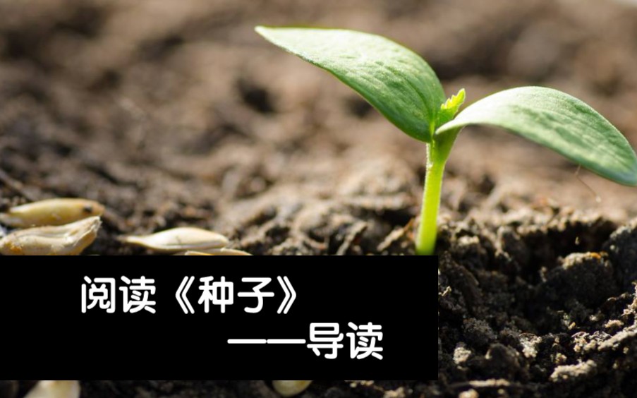 《种子》以故事的形式将人的一生比喻成一颗种子,娓娓地道出人生...