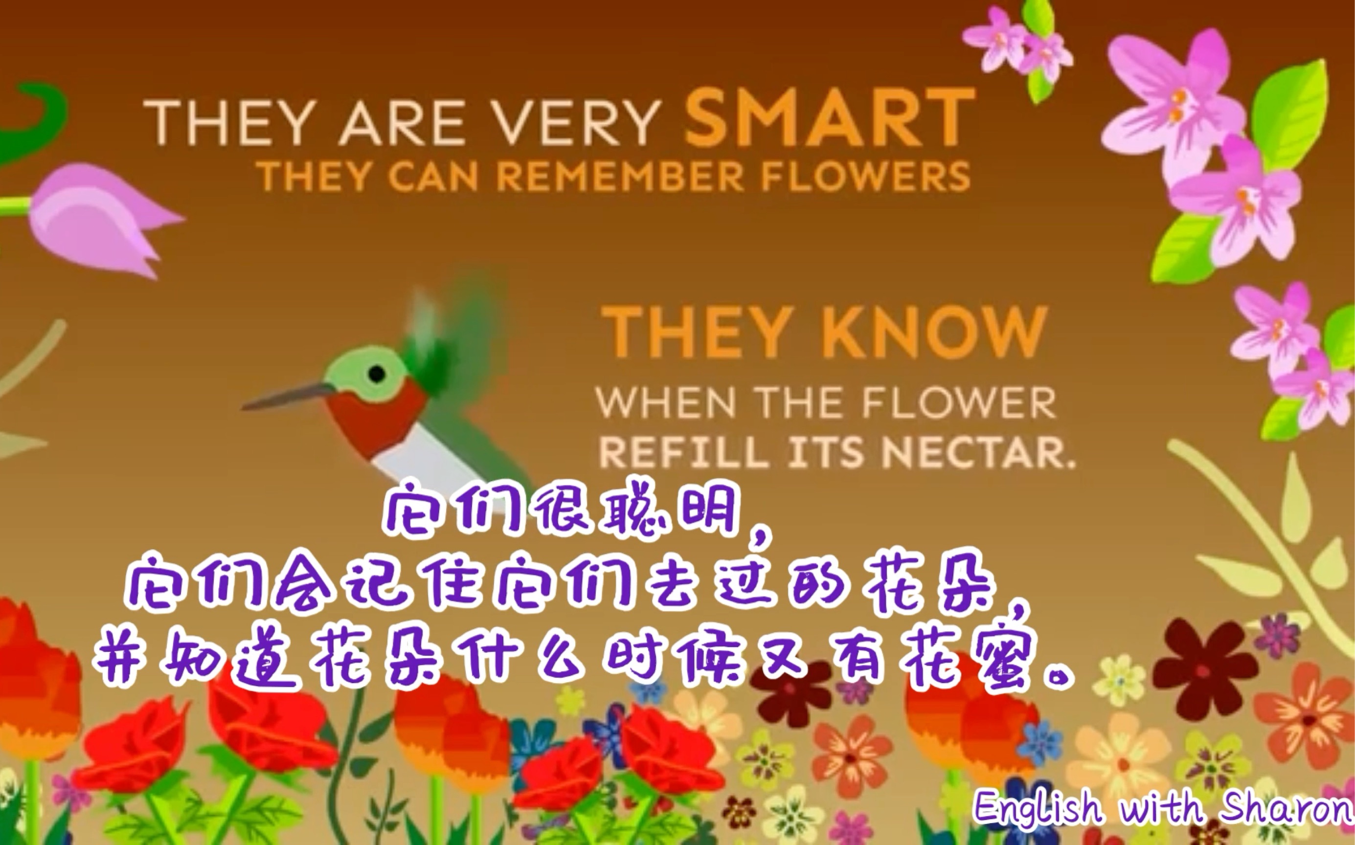 启蒙英语|科学小故事(二)|趣味英语