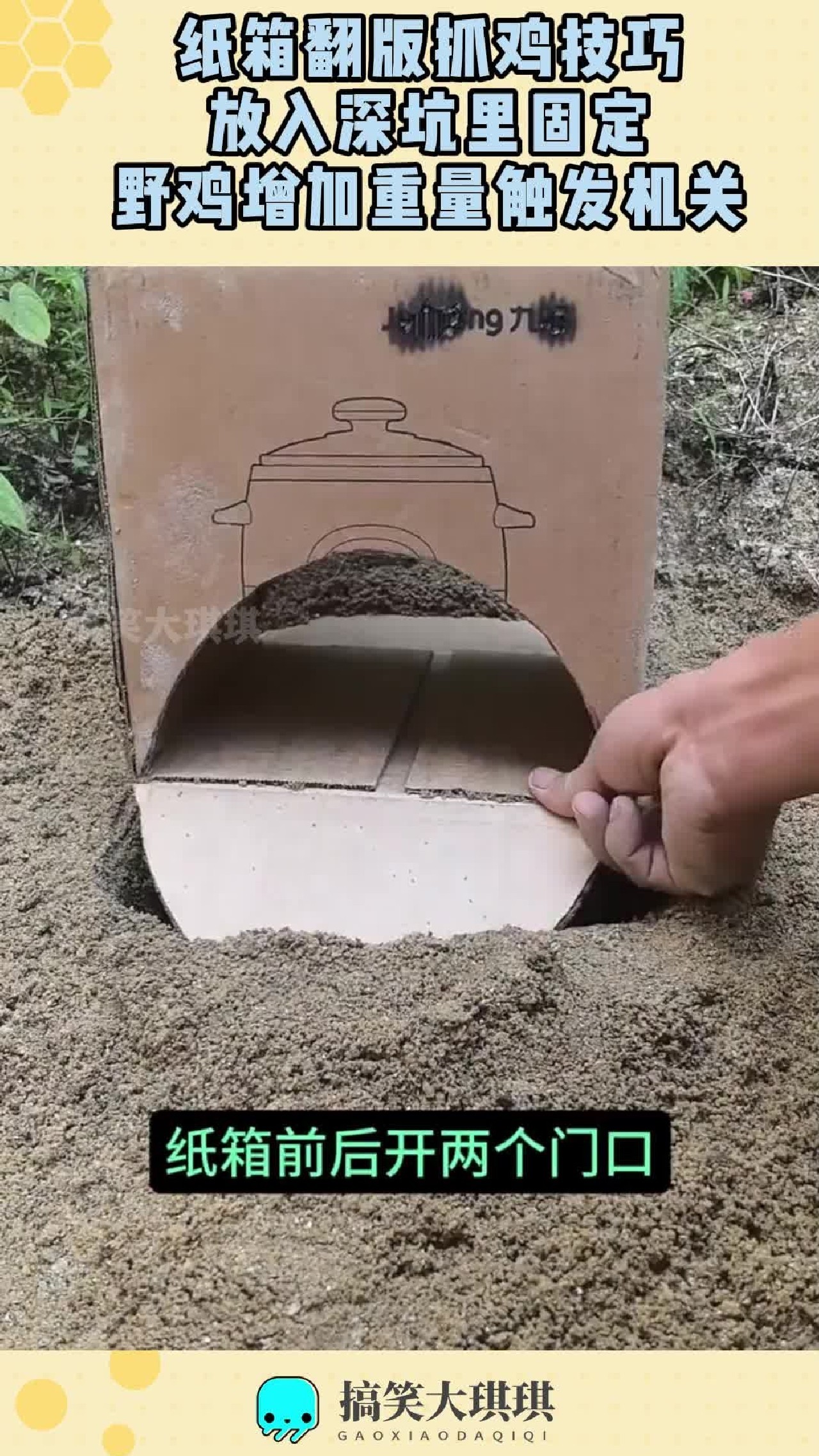 纸箱翻版抓鸡技巧,放入深坑里固,定野鸡增加重量触发机关!