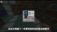 我的世界: 一口气做了20本附魔书, 粉丝看到极品属性高兴坏了!