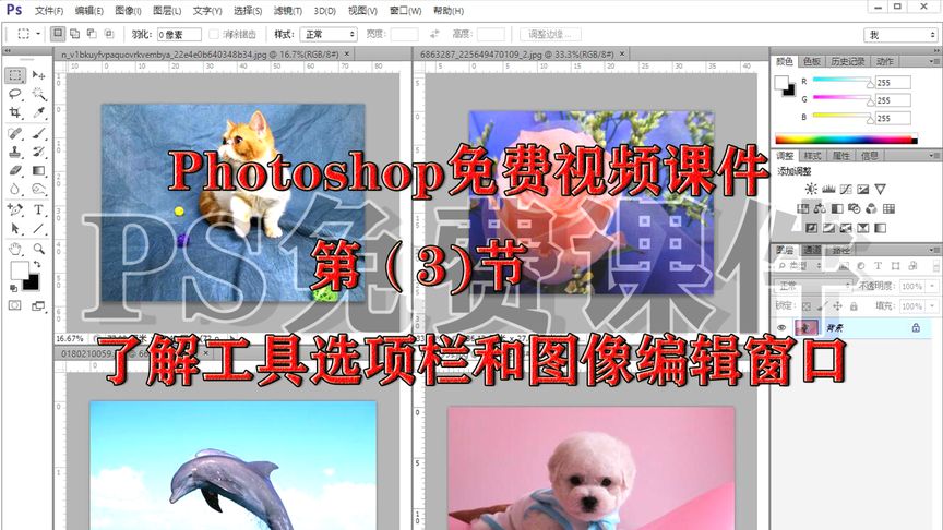 Photoshop第3节:零基础入门,超细讲解工具选项栏和图像编辑窗口