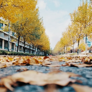 高中数学天天练 