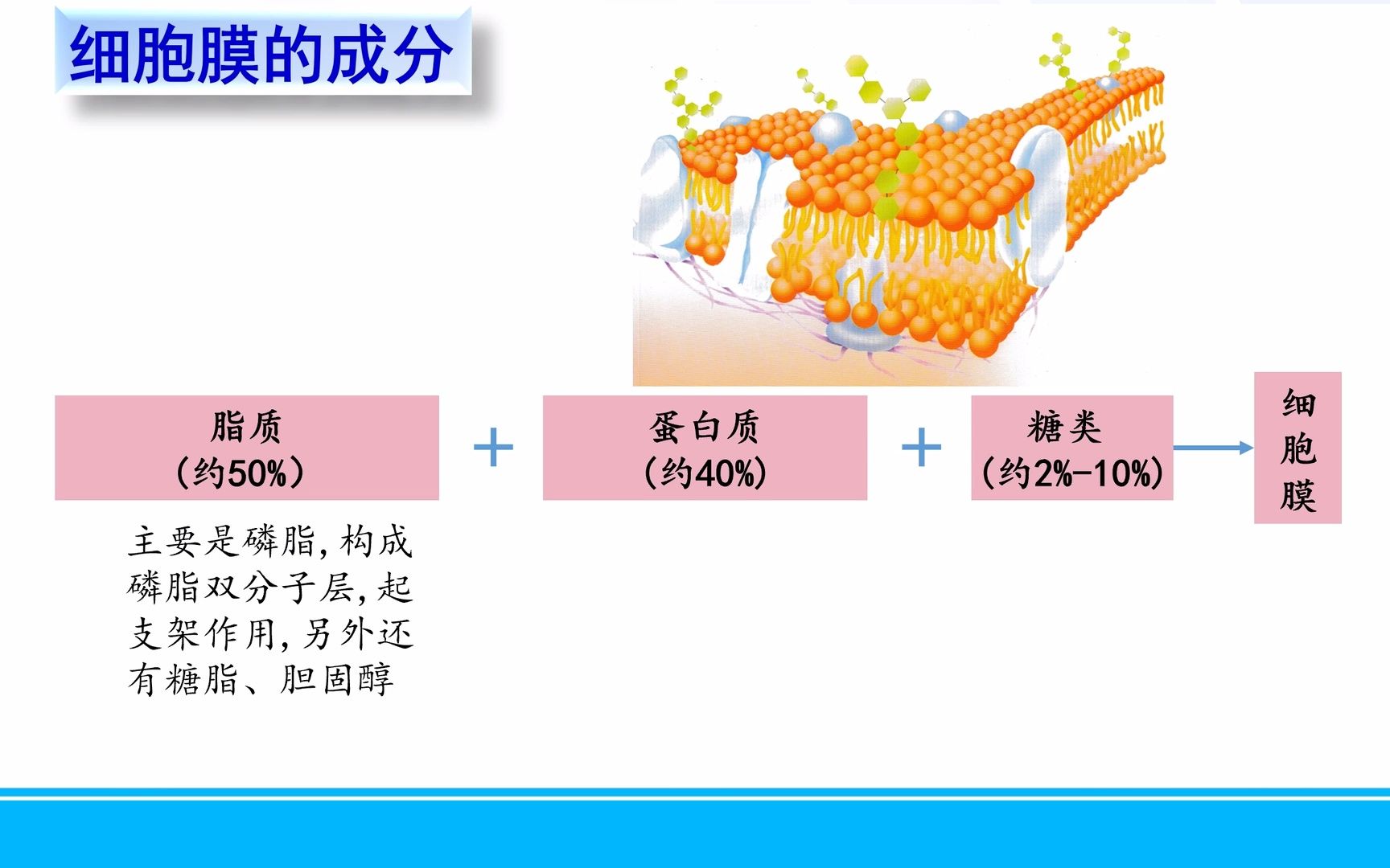 高中生物一轮复习微课2.7.8细胞膜的流动性和选择透过性-174