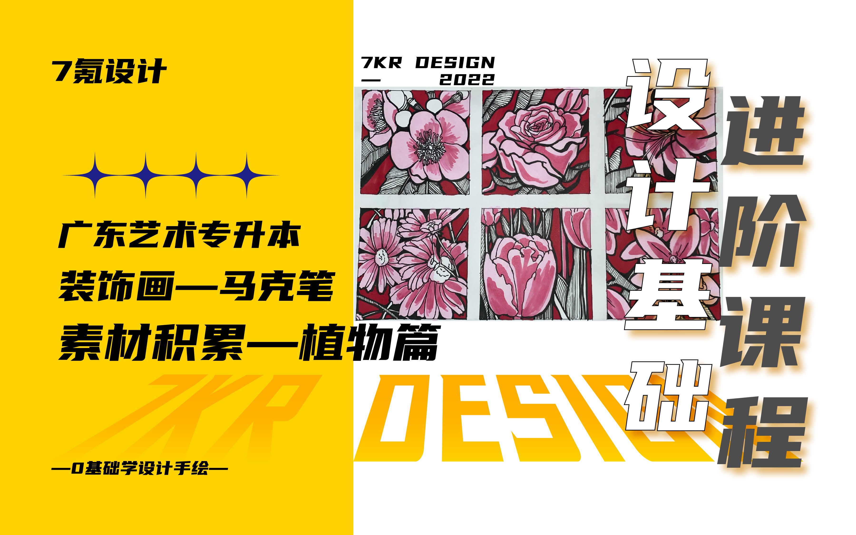 广东艺术专插本 广美专升本 |省统考设计基础-素材积累-植物篇