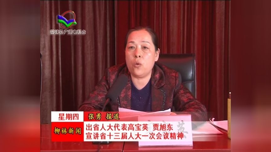 出省人大代表高宝英、贾旭东宣讲省十三届人大一次会议精神