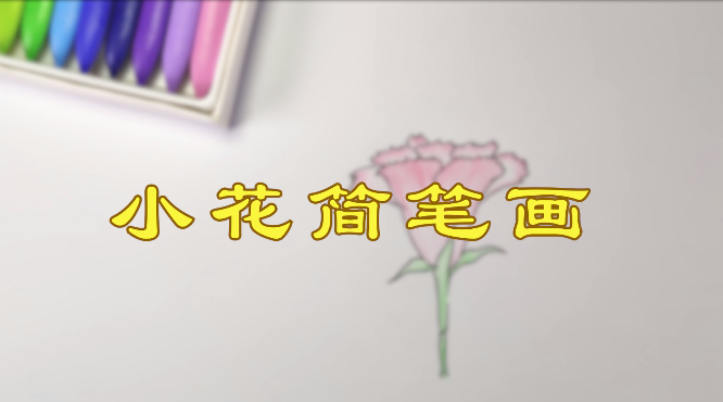 简笔画花:画一束漂亮的康乃馨,送给妈妈的康乃馨简笔画!
