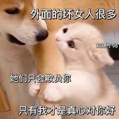 金融专硕一点通 
