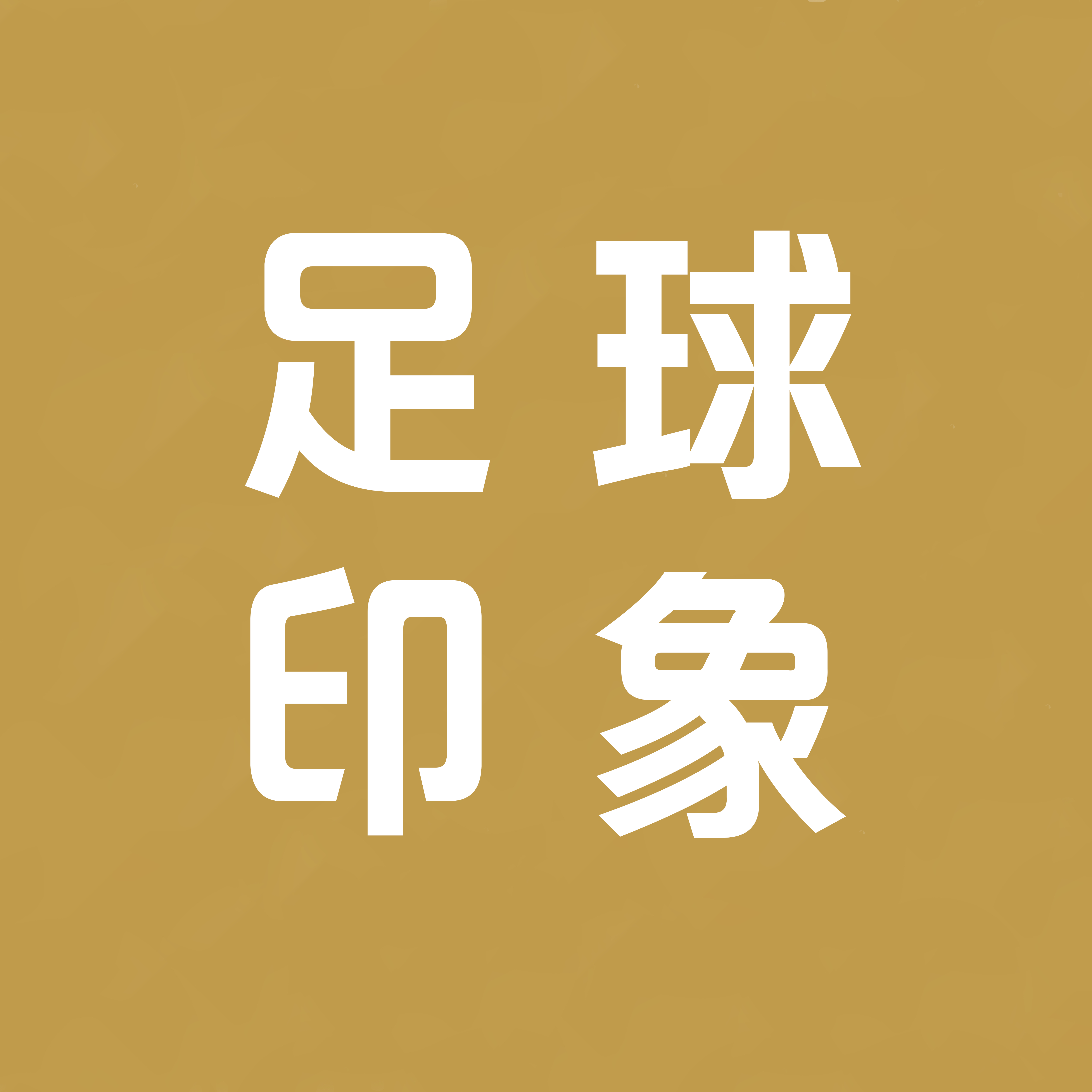 足球印象FM 