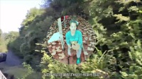 灵芝孢子粉有什么副作用,灵芝孢子粉的作用功效