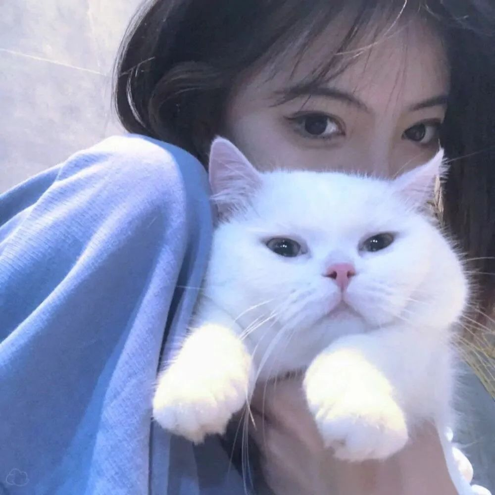 青丝与白猫酒馆 