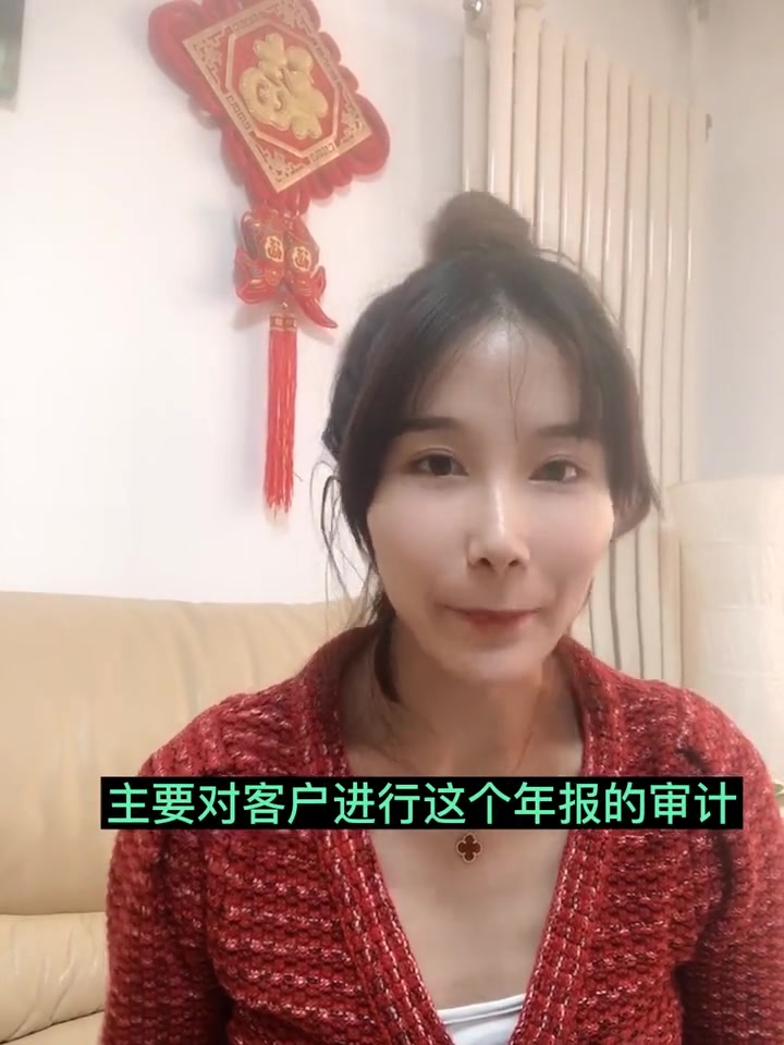 四大会计师事务所的5大部门设置,审计,税务,it审计,咨询和精算部门。