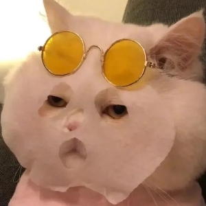 我不叫迟到 