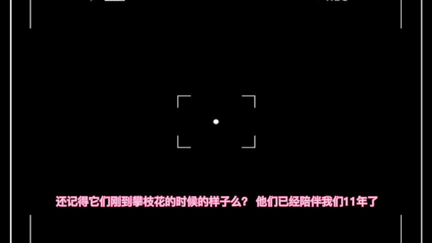 #攀枝花 #纪念#回忆 攀枝花公交09年恒通空调公交车