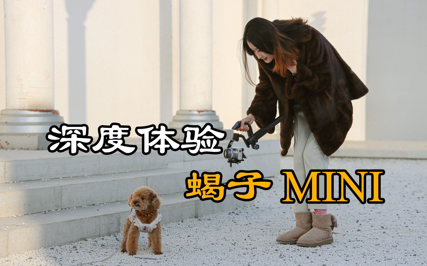 没有对比就没有伤害的稳定器,飞宇蝎子MINI深度体验