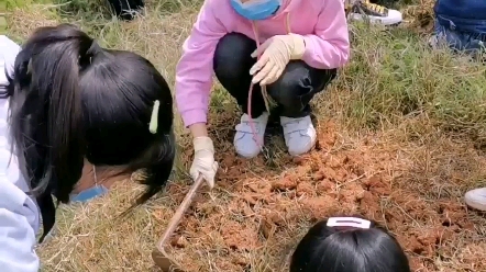 乡村学校的劳动实践课@_@看我们如何让这篇杂草丛生的荒地焕发新...