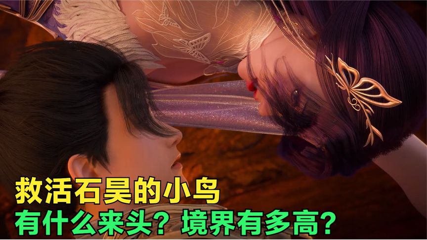 完美世界:石昊被一只小鸟所救?这只小鸟是什么来历?境界有多牛