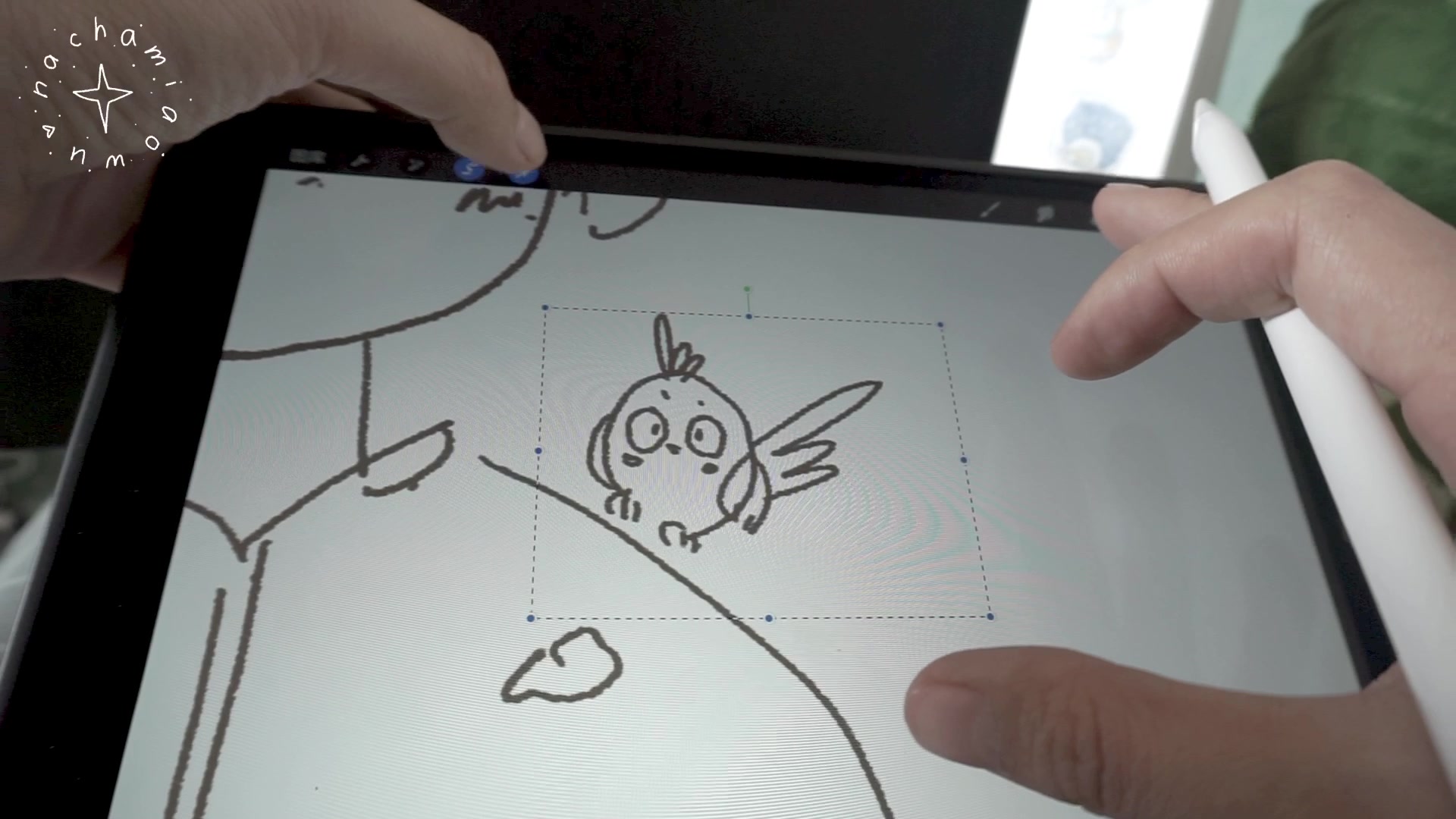 【procreate】/一个你可能还不知道的功能!//如何在调整图形大小的...