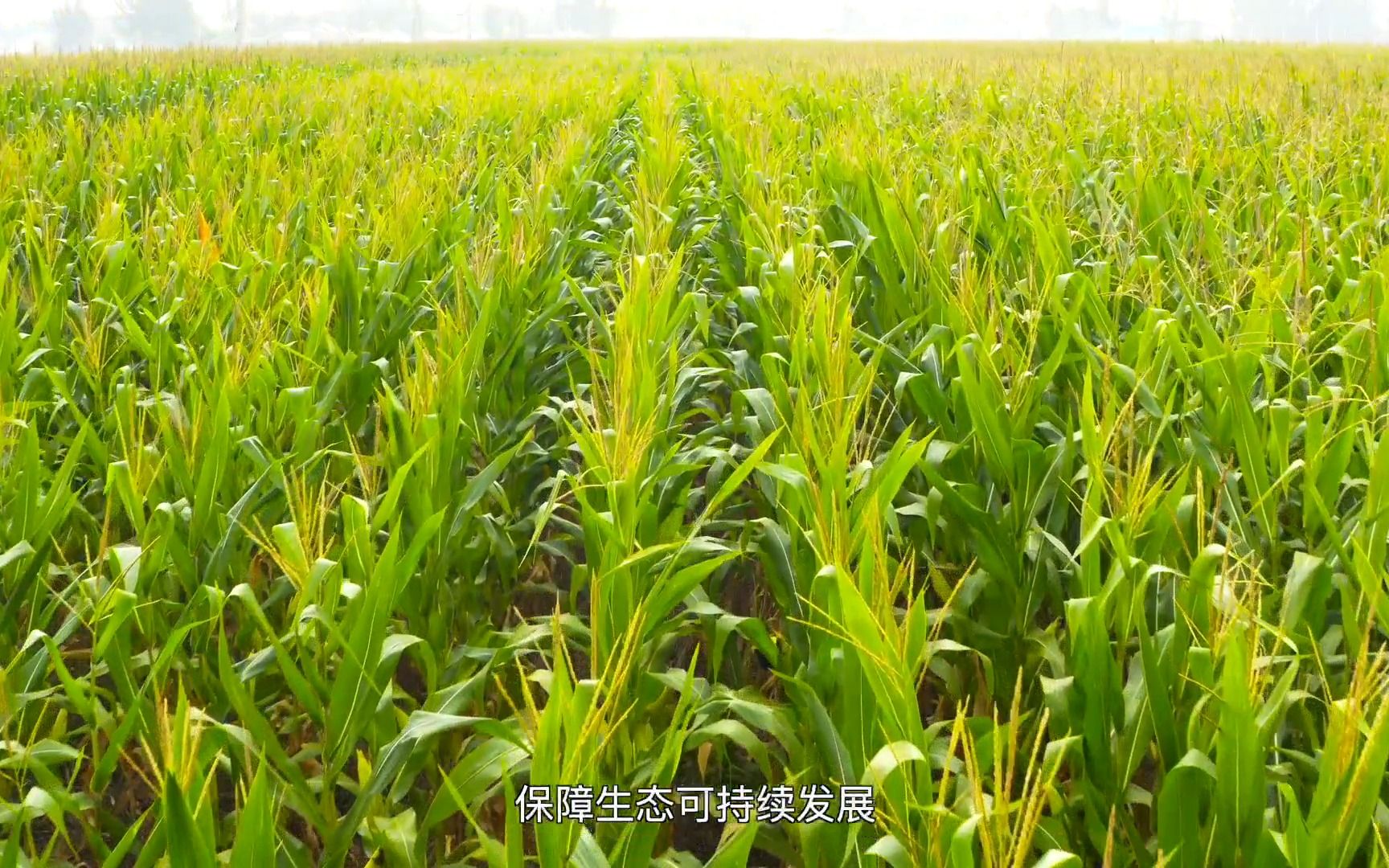 大型农业生物技术领军企业宣传片专业制作