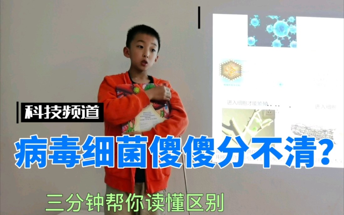 科学小达人对细菌病毒的理解