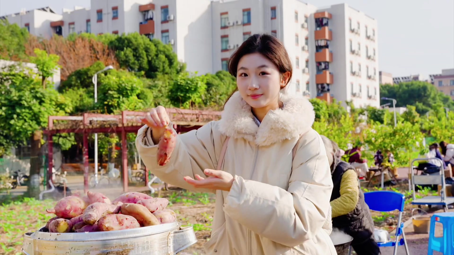 #校园活动 香又甜,快来吃红薯啦!近日,一年一度的“开心农场”红薯...