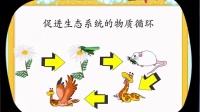 动物和生物圈动物在生物界的作用
