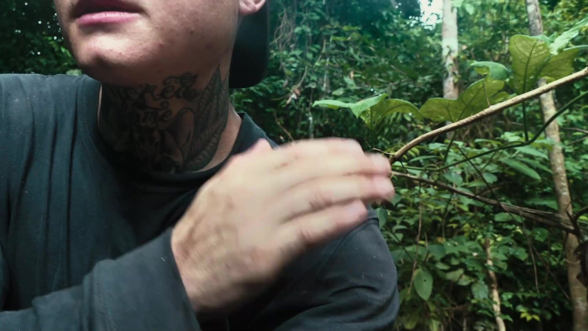 野猫 Wildcat (2022) 中文字幕