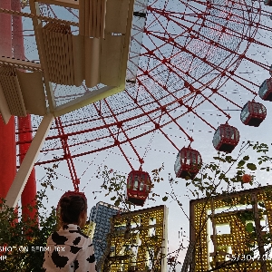 逆风de少年 