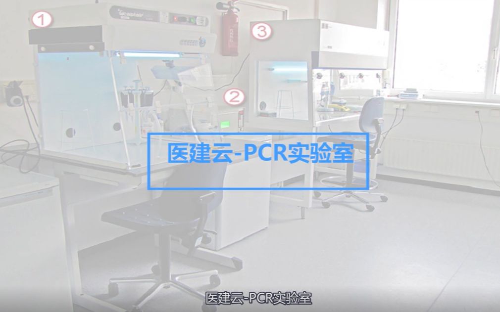 PCR实验室知识点视频